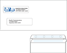Business Envelopes: Business Sized Envelopes for QuickBooks